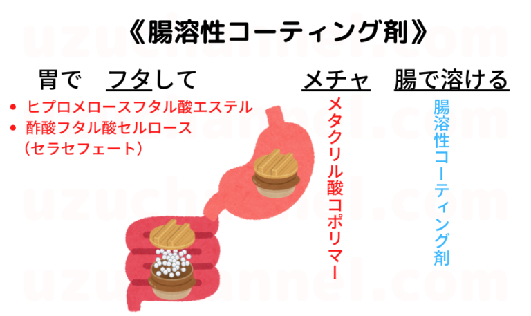 【ゴロ】腸溶性コーティング剤 ゴロナビ〜薬剤師国家試験に勝つ〜