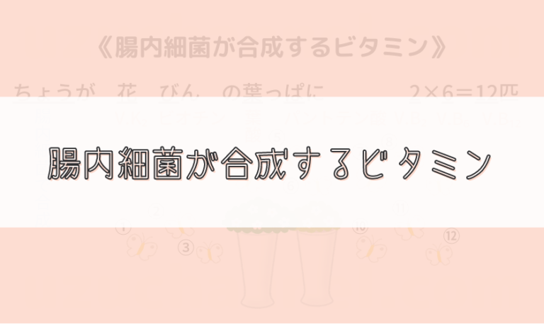 【ゴロ】腸内細菌が合成するビタミン ゴロナビ〜薬剤師国家試験に勝つ〜