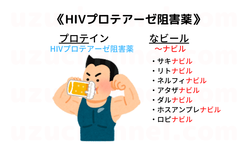 【ゴロ】hivプロテアーゼ阻害薬 ゴロナビ〜薬剤師国家試験に勝つ〜
