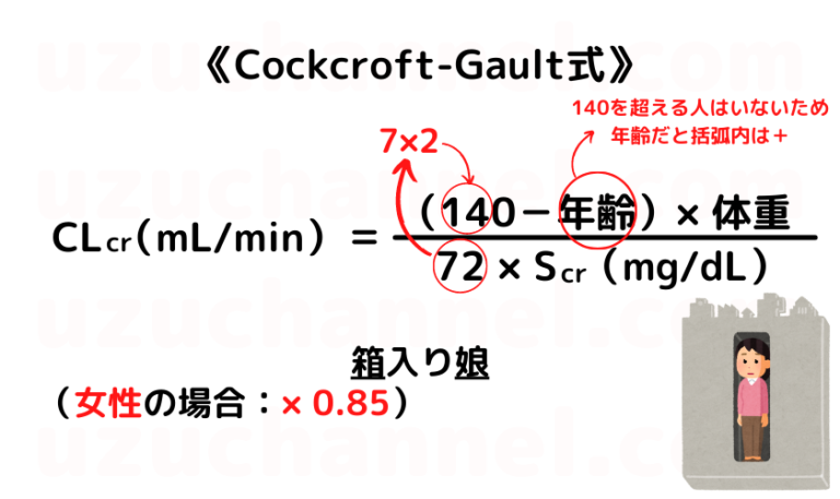 【ゴロ】Cockcroft-Gault式 | ゴロナビ〜薬剤師国家試験に勝つ〜