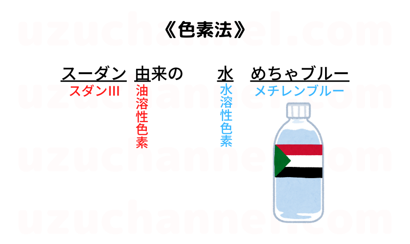 【ゴロ】色素法 ゴロナビ〜薬剤師国家試験に勝つ〜