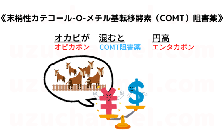 【ゴロ】末梢性カテコール O メチル基転移酵素（comt）阻害薬 ゴロナビ〜薬剤師国家試験に勝つ〜