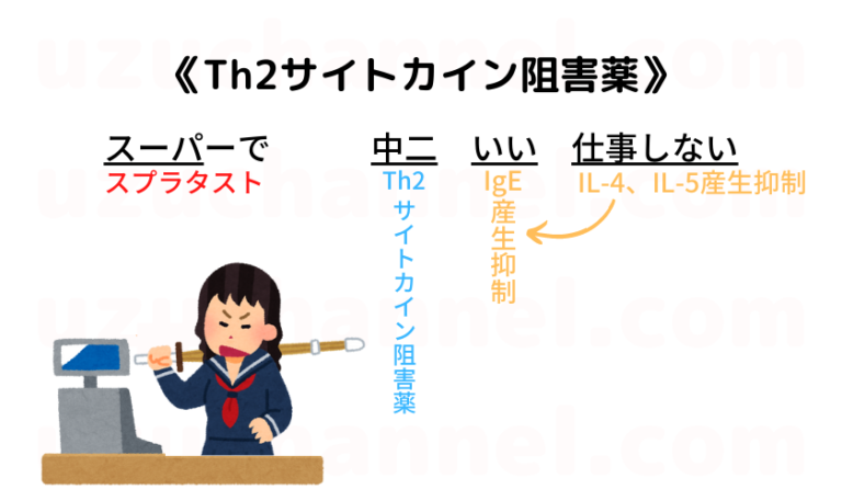 【ゴロ】th2サイトカイン阻害薬 ゴロナビ〜薬剤師国家試験に勝つ〜