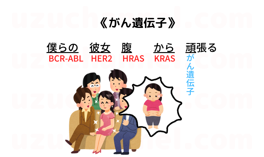 【ゴロ】がん遺伝子 ゴロナビ〜薬剤師国家試験に勝つ〜